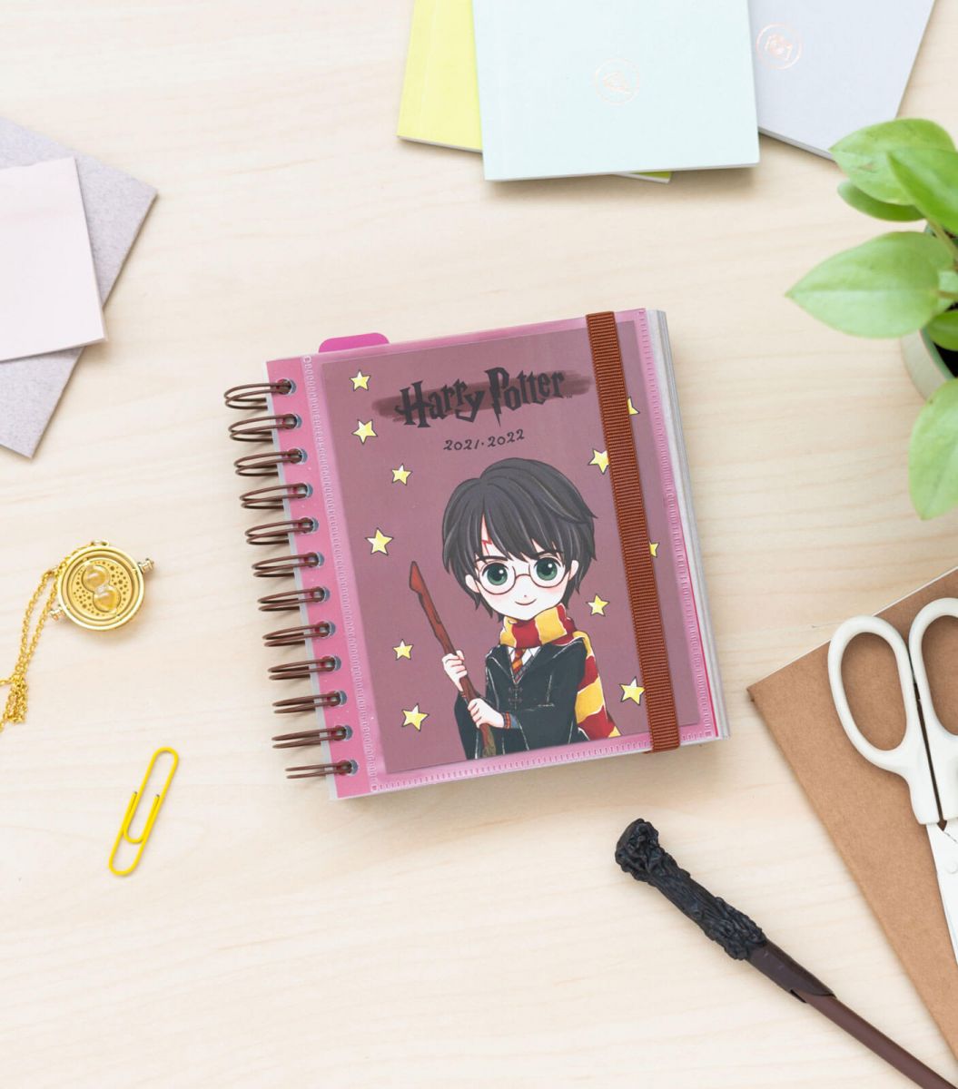 Harry Potter - dziennik 2021/2022