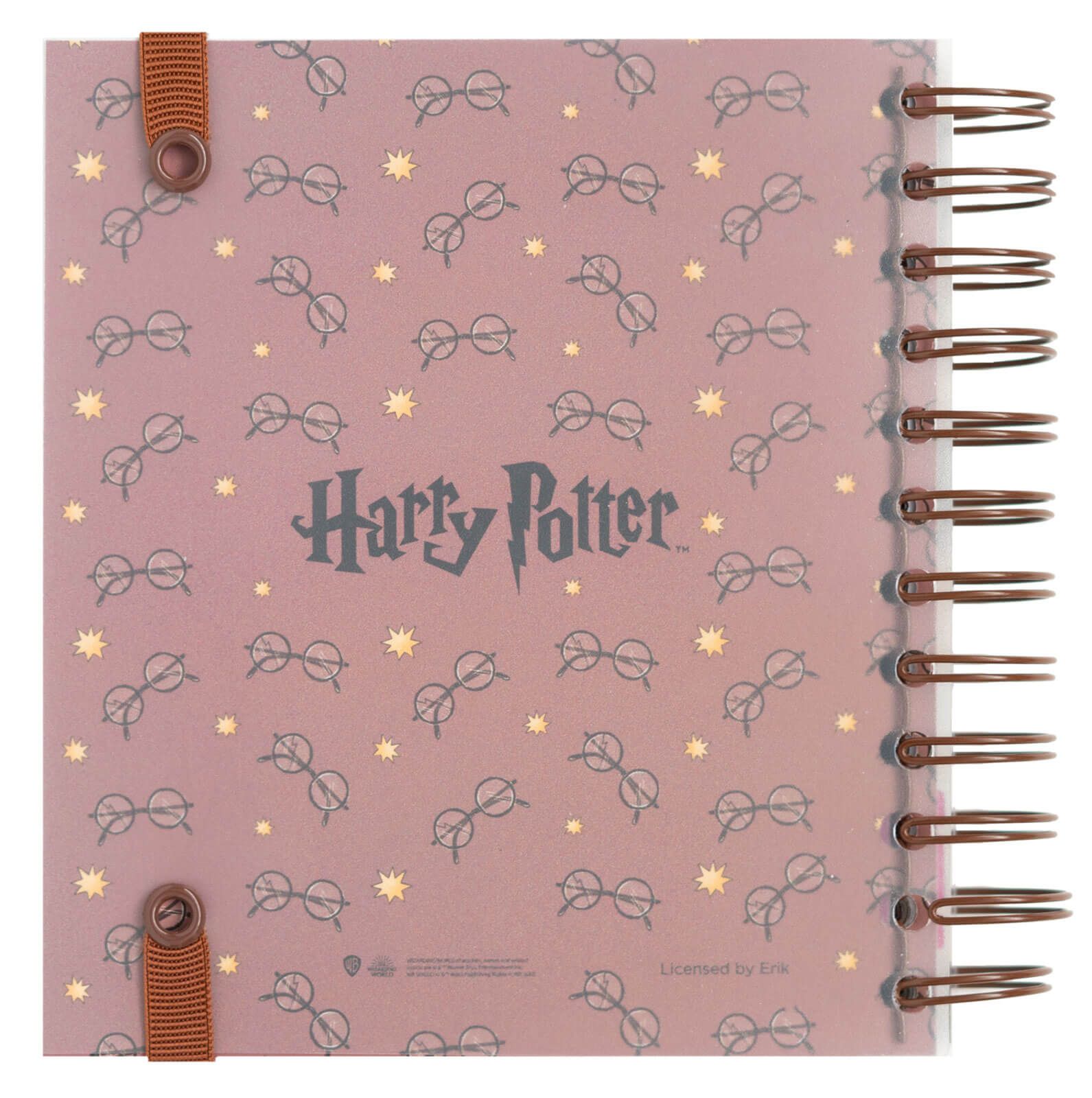 Harry Potter - dziennik 2021/2022